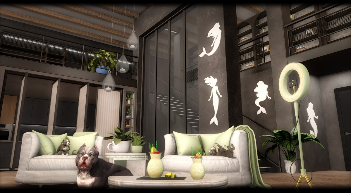 Dominus House – Elaine Lectar